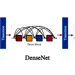 Dense convolutional network (DenseNet).