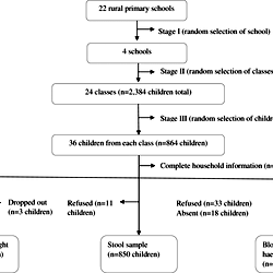 Flowchart of study inclusion.