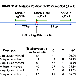 NGS results of mutation specific enrichment by TRACE targeting the KRAS ...