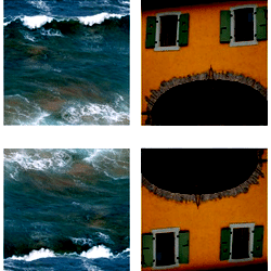 Examples of the Face-n-Thing images with canonical upright (top) and ...