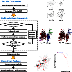 Flow chart of MEGENA.