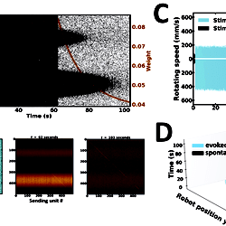 Single learning and recall.