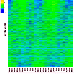 Heatmap of all expressed genes.