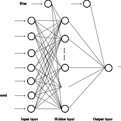 Schematic structure of an ANN in our study.