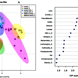 Score plots of PLS-DA (A) and variable importance in projection (VIP) (B).