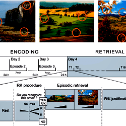 Episodic memory task design and Remember/Know procedure.