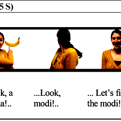 A representative example of visual and linguistic information presented ...