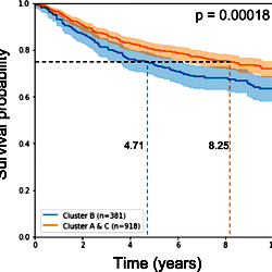 Kaplan Meier curve and log rank p-value on the test cohorts.