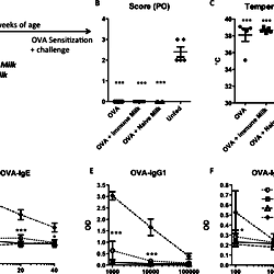 OVA epicutaneous sensitization after feeding OVA with or without murine ...