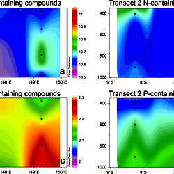 Sum of relative peak intensities of N-containing organic compounds.