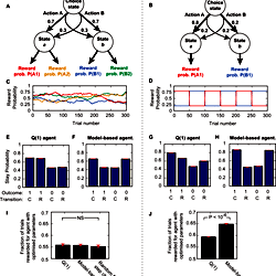 Original and reduced versions of the two-step task.