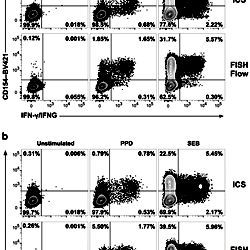 Comparison of FISH-Flow and intracellular cytokine staining (ICS) for ...