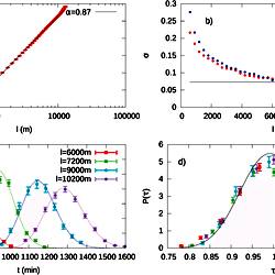 Path Optimization Algorithms on the Rome Urban Network.