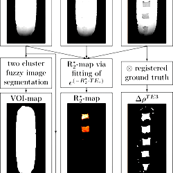 Overview of the feature extraction workflow from magnitude (ρ-data).