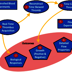 Summary of the combined approach process.