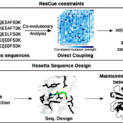 Basic concept and application of ResCue.
