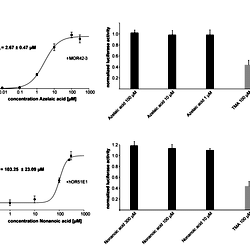 Blocking effect of Timberol® is exclusively mediated by hTAAR5.