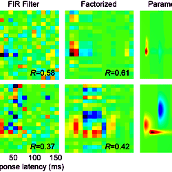 Example STRF fits for different model architectures.