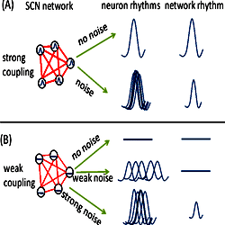 Schematic diagram about the effect of external noise, in the case of ...
