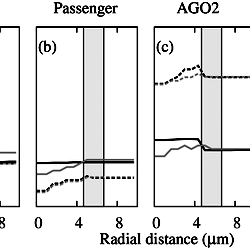 Radial density profiles.