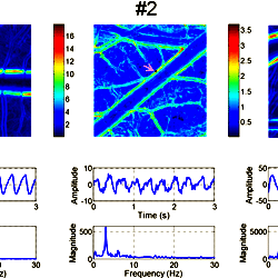 RMS amplitude maps and waveform analysis.