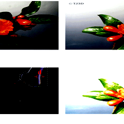 Quality Index for Stereoscopic Images by Separately Evaluating Adding and Subtracting
