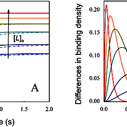 Comparison between negative cooperativity and different sites in pre ...
