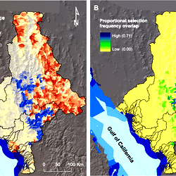 Spatial similarities and differences between priority maps for water ...
