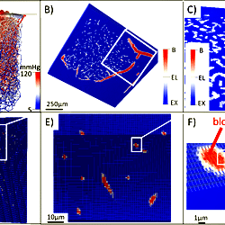 Illustration of the masking algorithm for labeling at different ...