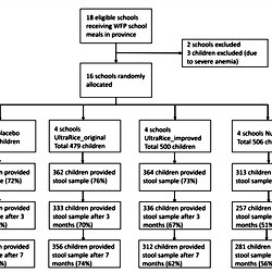 Flow chart of the study.