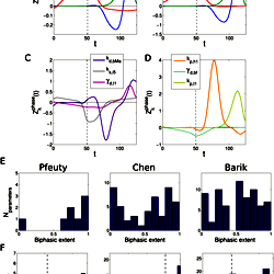 Consistent phase responses across models.