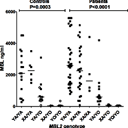 Distribution of MBL levels according to MBL2 genotypes in controls and ...