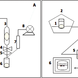 Extraction Process Stages.