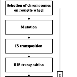 The flow chart of traditional GEP.
