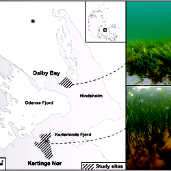 Map and photos of the study areas on Funen Island, Denmark.