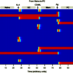 Differentiation from Naive to the PC cell type.