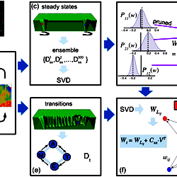Schema of the network inferring method.