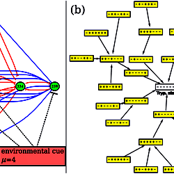 Life cycle module.