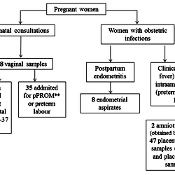 Diagram flow of the clinical sample collection.