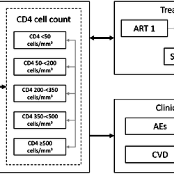 Model flow diagram.