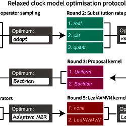 Protocol for optimising clock model methodologies.