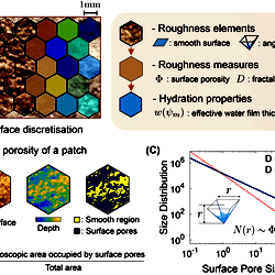 A conceptual diagram of the definition of a patch.