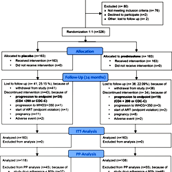 CONSORT statement 2010 flow diagram.