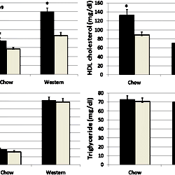 Comparison of male congenic and background control mice in fasting ...