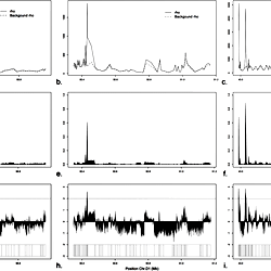 Recombination overview of chromosomes A2, D1, and E2 regions.