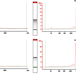 Electropherogram graphical results and gel-like image obtained with the ...