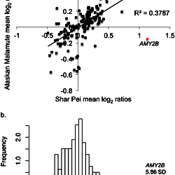 Results from analysis of aCGH data.