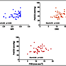 PaCO2 correlation with the microcirculatory flow index (MFI), the ...