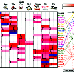 Heatmap of the diet proportion among consumers and prey.