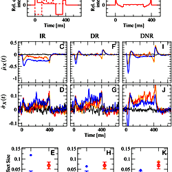 In the comparison irregular vs. regular stimulation, simulation results ...